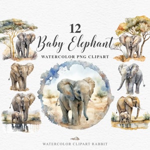 Cute African Baby Elephant PNG Clipart | Safari Animals | Jungle ...