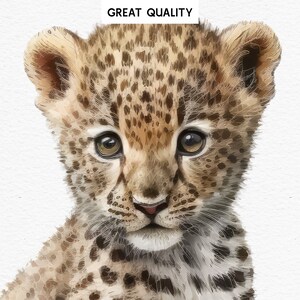 Safari Baby Animals PNG Clipart Savanna Jungle African Lion, Giraffe ...