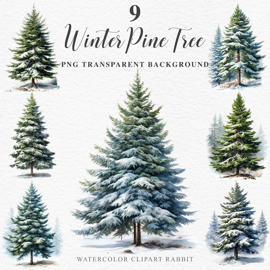 Christmas Winter Pine Tree PNG Pastel Xmas Decoration Clipart Bundles ...