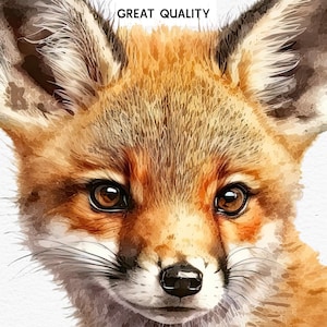 Baby Fox PNG Clipart | Cute Forest Animals | Floral Nursery Wall Art ...