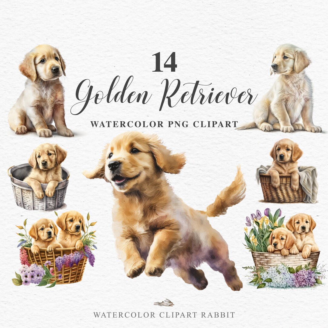 Golden Retriever Clipart | Jumping Dog PNG | Watercolor Puppies in ...