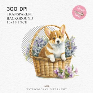 Corgi Puppy Clipart | Jumping Dog PNG | Watercolor Puppies in Basket ...