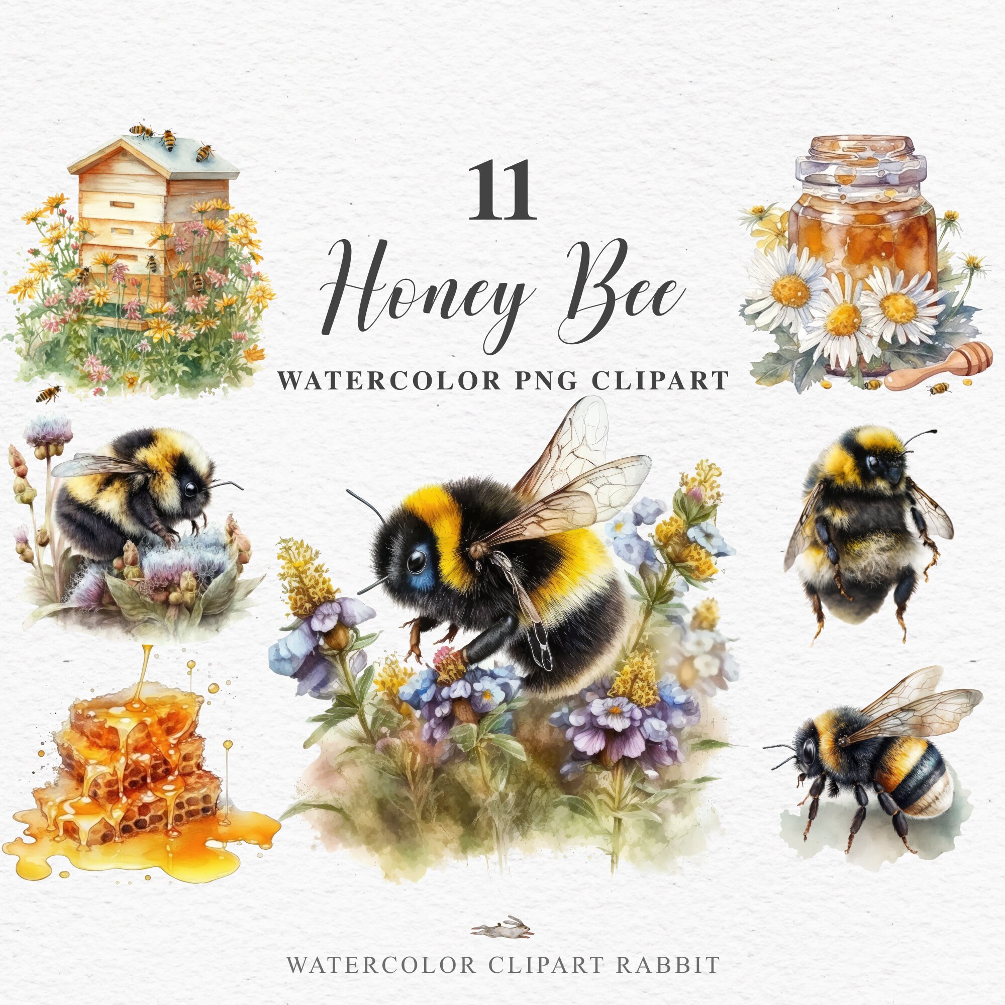 Watercolor Honey Bee Clipart Bumblebee PNG Summer Clipart - Etsy