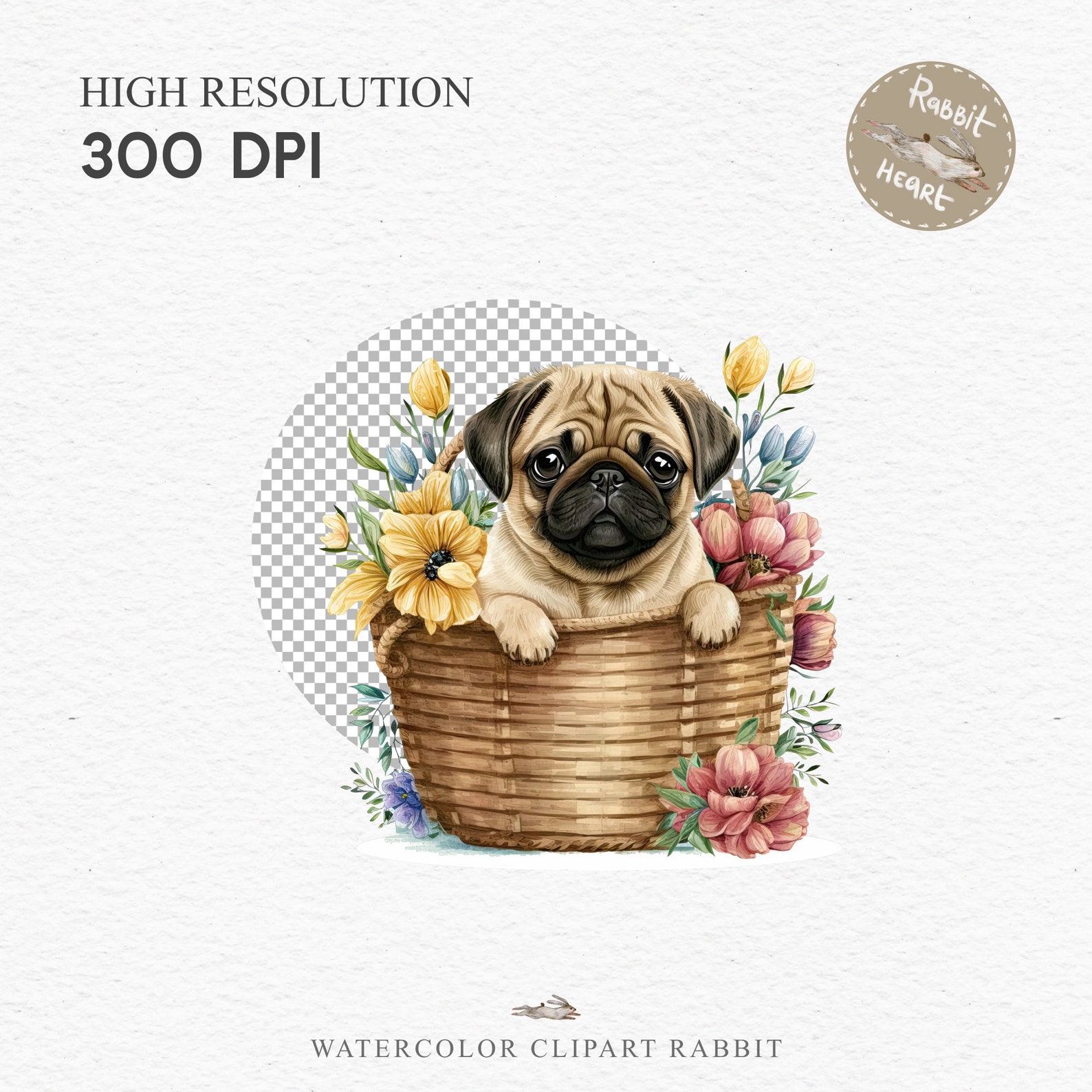 Pug Puppy Clipart Watercolor Pug PNG Puppies in Basket - Etsy