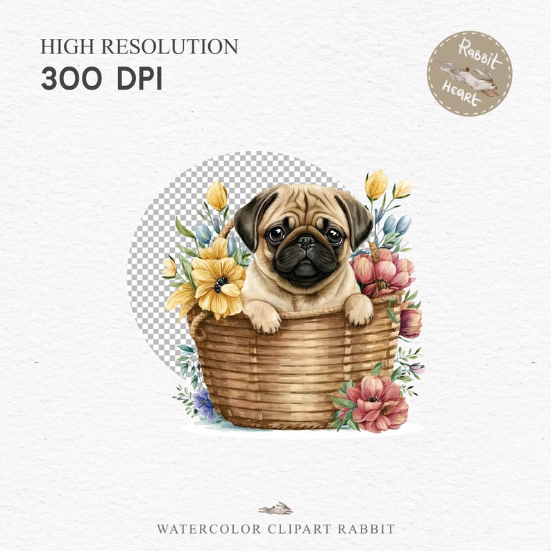 Pug Puppy Clipart Watercolor Pug PNG Puppies in Basket - Etsy