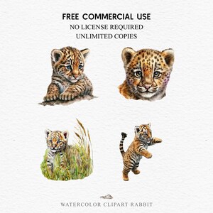 Baby Tiger Clipart | African Safari Animals | Jungle Nursery Wall Art ...