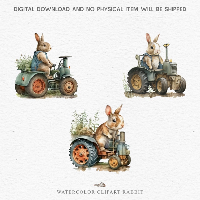Rabbit Farmer PNG Bunny on Tractor Dressed Baby Animals - Etsy
