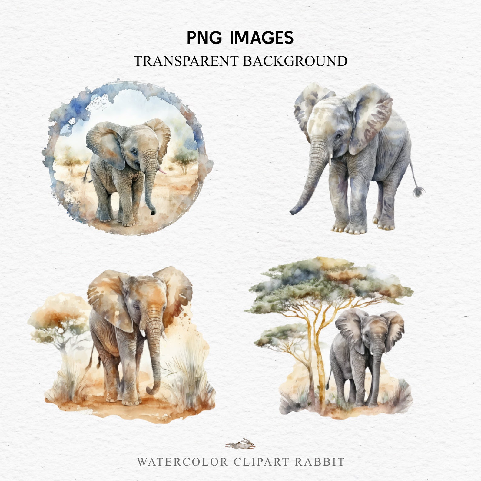 Cute African Baby Elephant PNG Clipart Safari Animals - Etsy