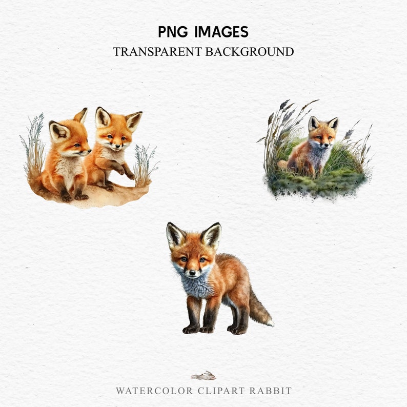 Baby Fox PNG Clipart Cute Forest Animals Floral Nursery - Etsy
