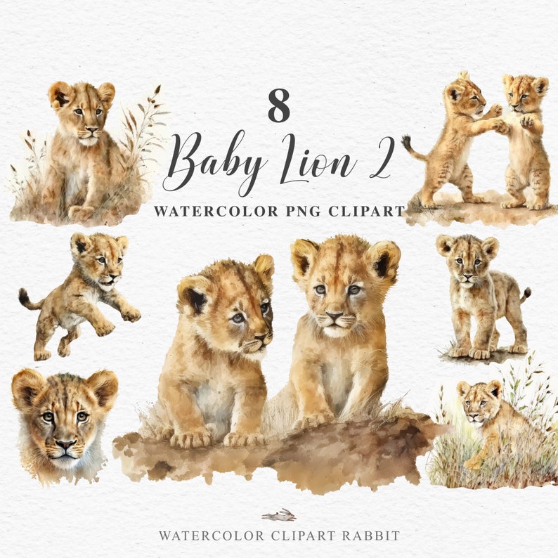 Baby Lion PNG Clipart African Safari Animals Jungle - Etsy