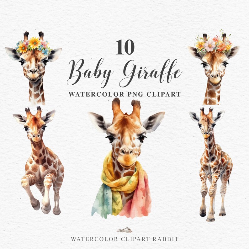 Baby Giraffe PNG Cute Giraffe Hat Flowers Clipart Nursery - Etsy