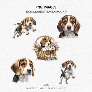 Baby Beagle Clipart | Beagle Puppy PNG | Jumping Dog PNG | Watercolor ...