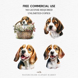 Baby Beagle Clipart | Beagle Puppy PNG | Jumping Dog PNG | Watercolor ...