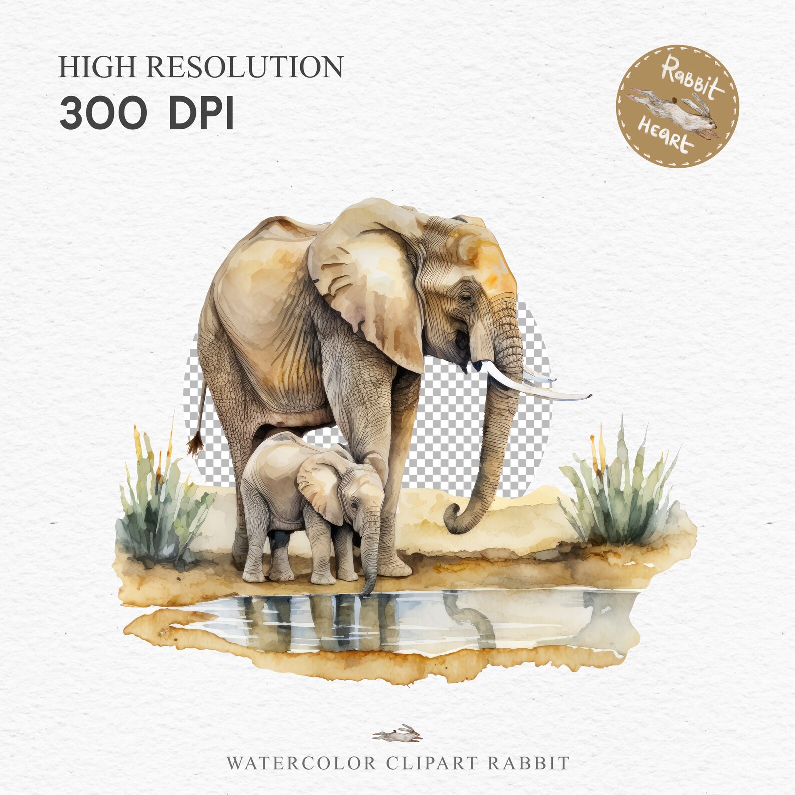 Cute African Baby Elephant PNG Clipart Safari Animals - Etsy