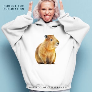 Cute Capybara PNG Clipart | Safari Animals | Jungle Nursery Wall Art ...