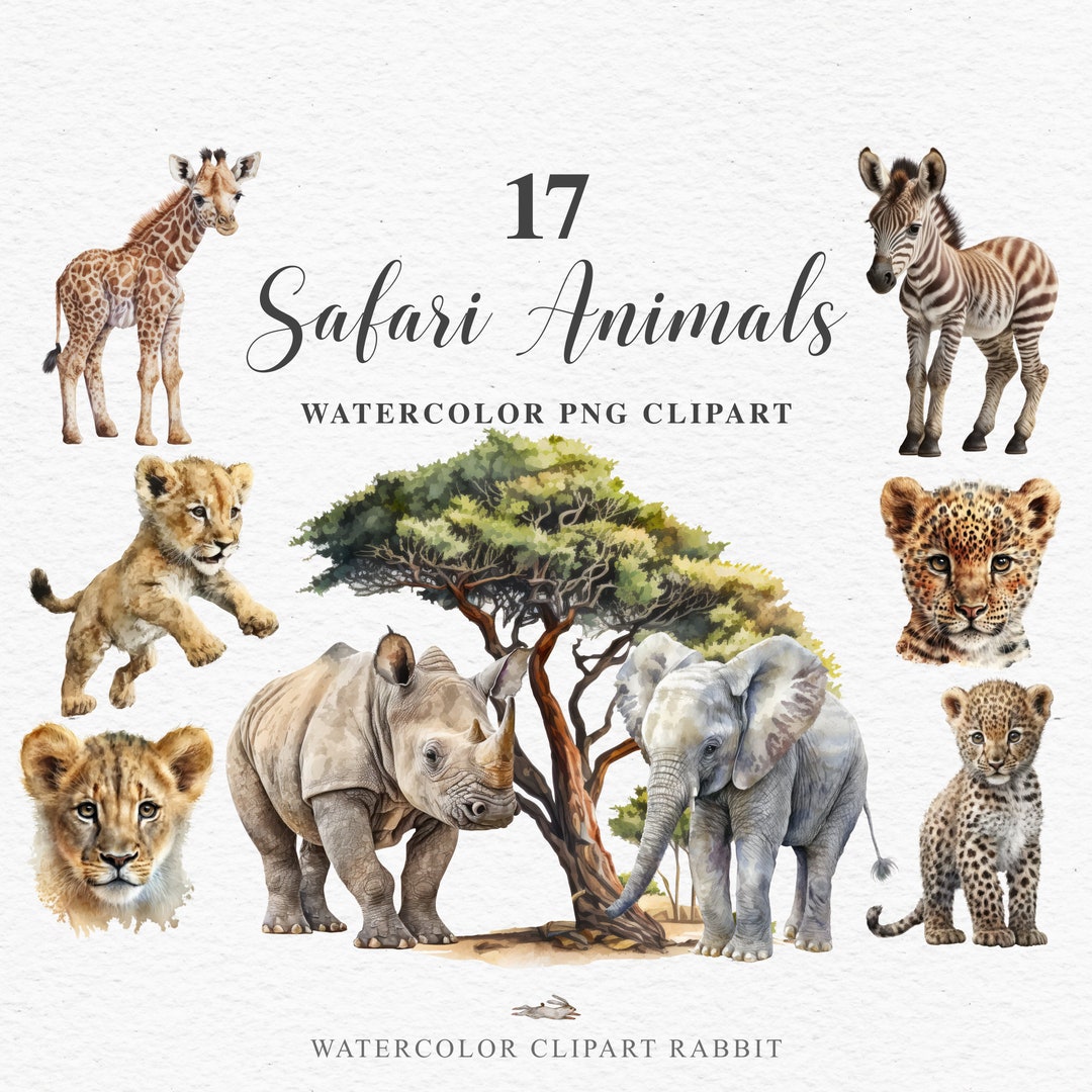 Safari Baby Animals PNG Clipart Savanna Jungle African Lion, Giraffe ...