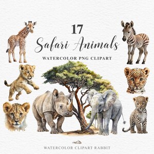 Safari Baby Animals PNG Clipart Savanna Jungle African Lion, Giraffe ...