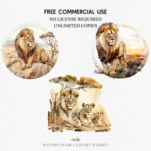 African Lion PNG Clipart | Safari Animals | Jungle Nursery Wall Art ...