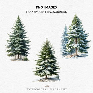 Christmas Winter Pine Tree PNG Pastel Xmas Decoration Clipart Bundles ...