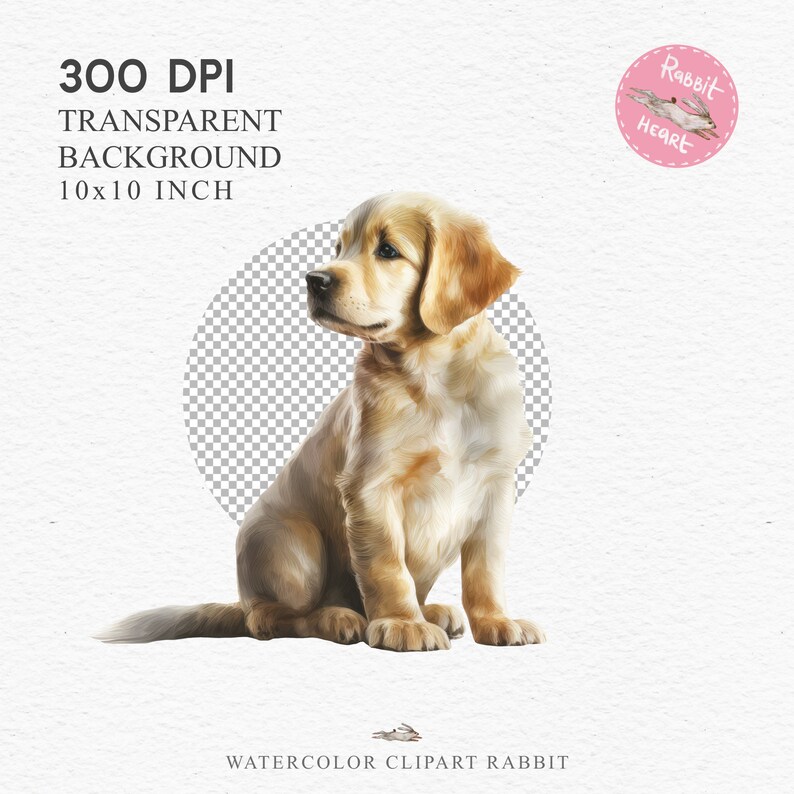 Golden Retriever Clipart Jumping Dog PNG Watercolor - Etsy