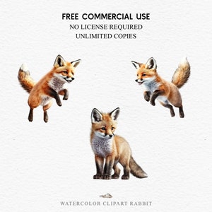 Baby Fox PNG Clipart | Cute Forest Animals | Floral Nursery Wall Art ...