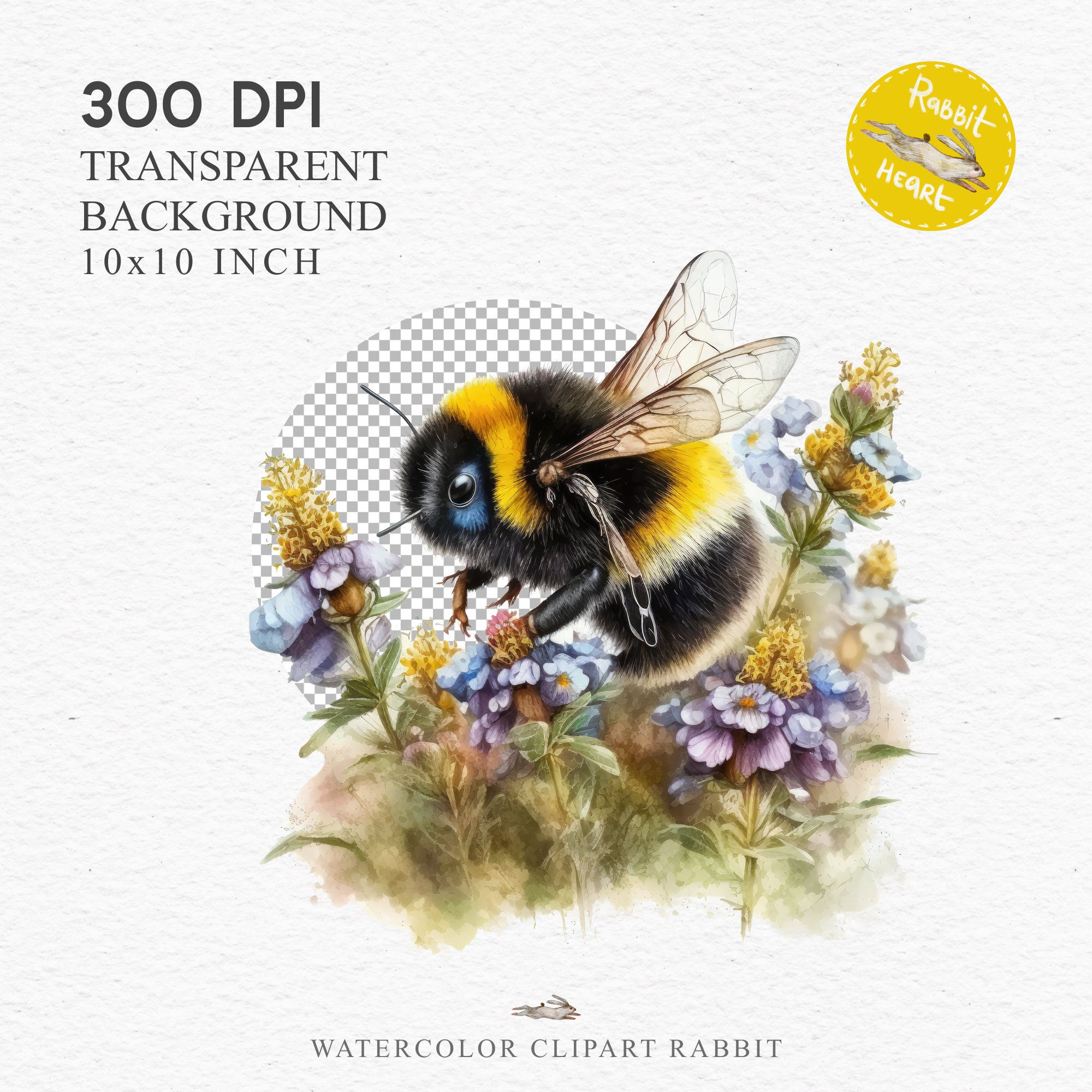 Watercolor Honey Bee Clipart Bumblebee PNG Summer Clipart - Etsy Australia