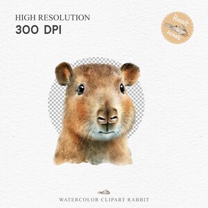 Cute Capybara PNG Clipart | Safari Animals | Jungle Nursery Wall Art ...