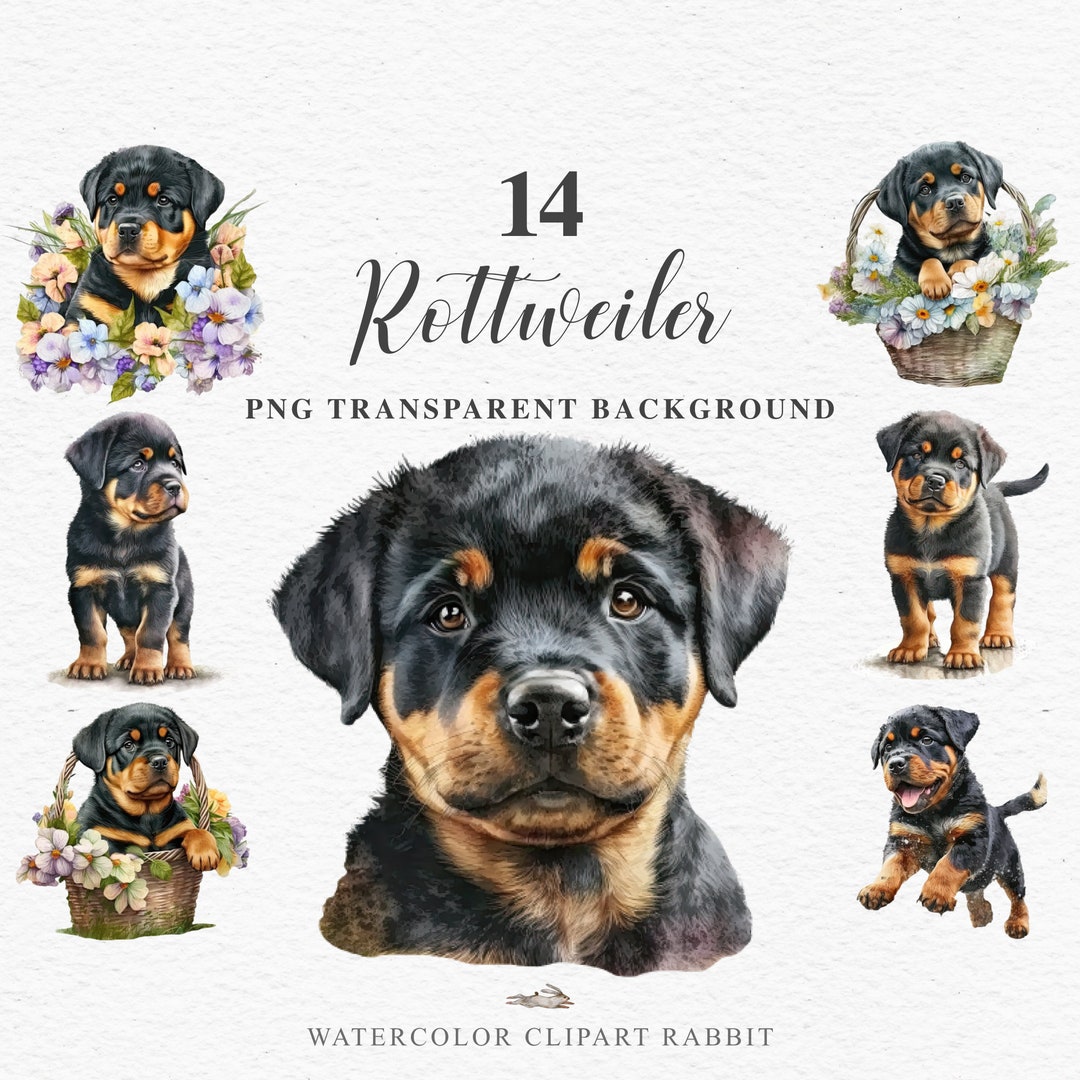 Rottweiler Clipart Jumping Dog PNG Watercolor Baby Rottweiler Cute Dog ...
