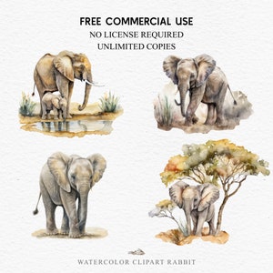 Cute African Baby Elephant PNG Clipart | Safari Animals | Jungle ...