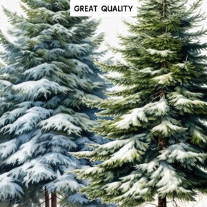 Christmas Winter Pine Tree PNG Pastel Xmas Decoration Clipart Bundles ...