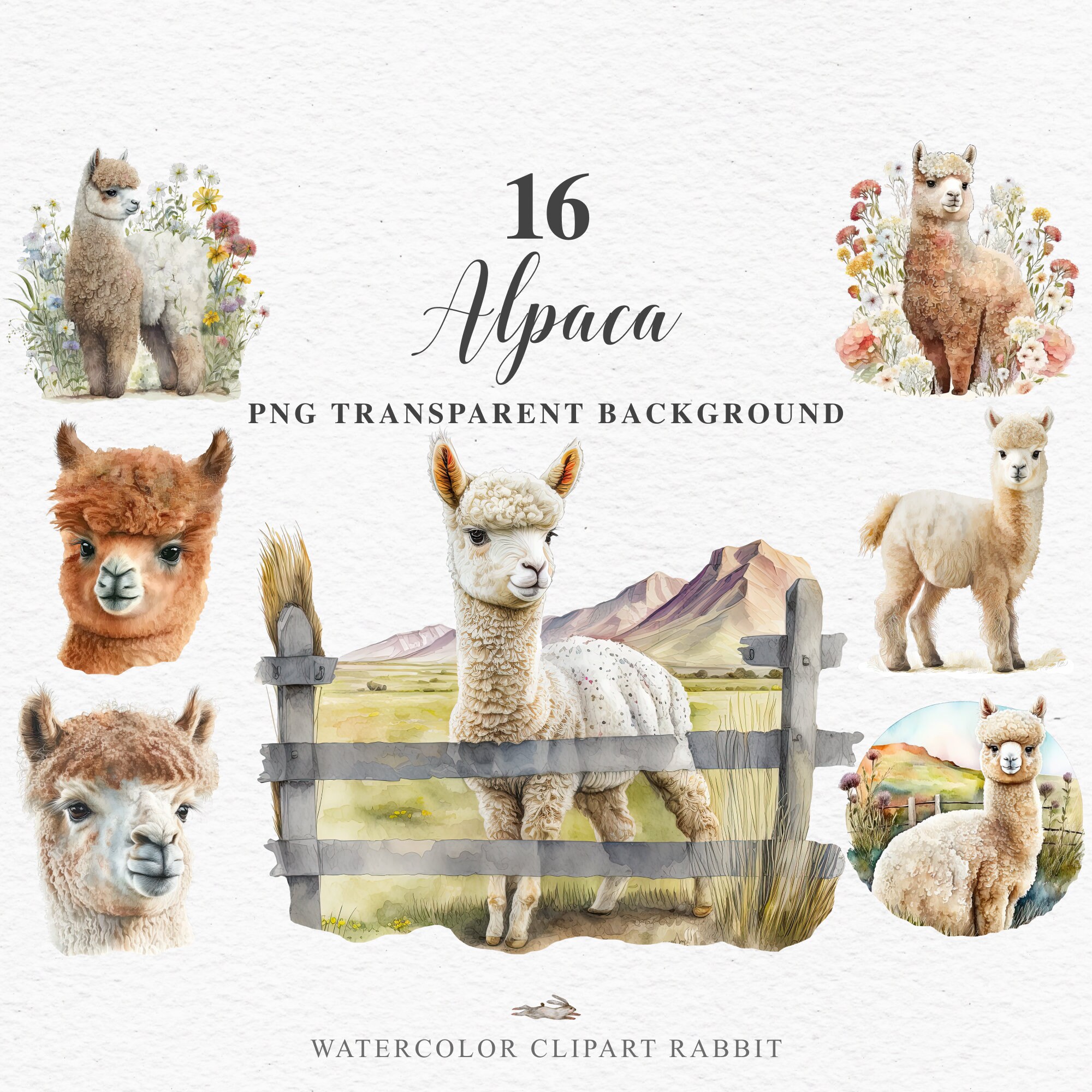 Alpacas Fluffy Peach Studios