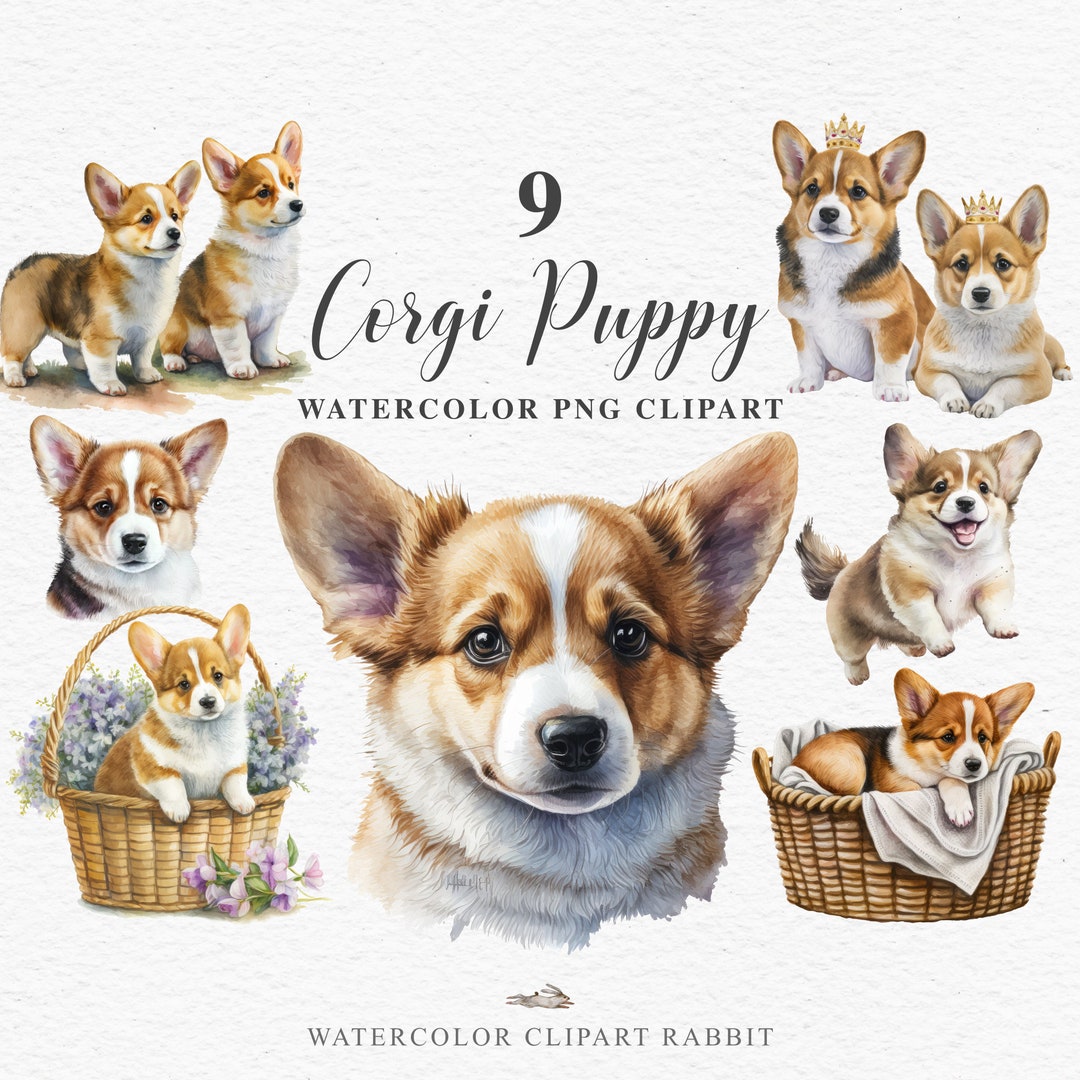 Corgi Puppy Clipart Jumping Dog PNG Watercolor Puppies in Basket ...