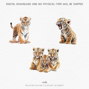Baby Tiger Clipart | African Safari Animals | Jungle Nursery Wall Art ...