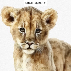 Baby Lion PNG Clipart African Safari Animals Jungle Nursery Wall Art ...