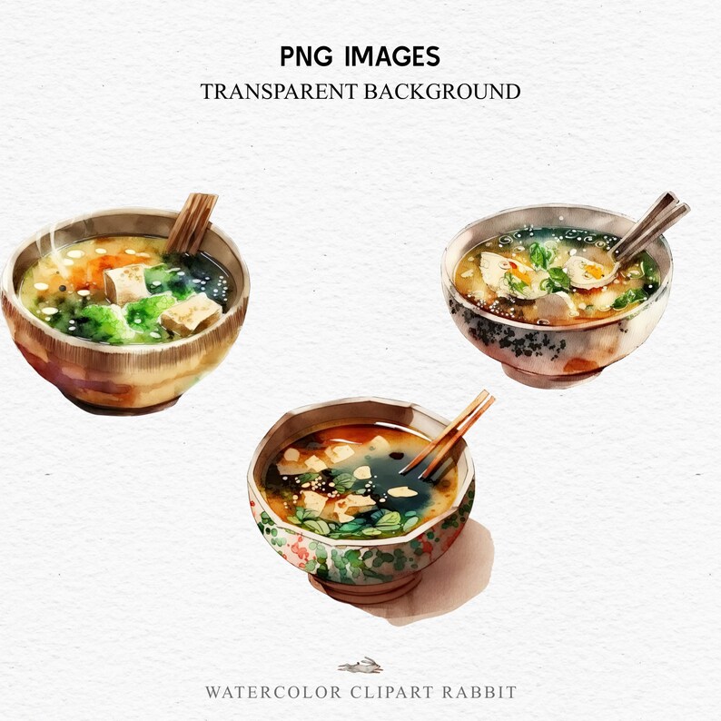 Watercolor Miso Soup Ramen Bowl PNG Korean Food Clipart - Etsy