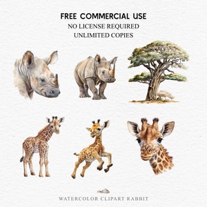 Safari Baby Animals PNG Clipart Savanna Jungle African Lion, Giraffe ...