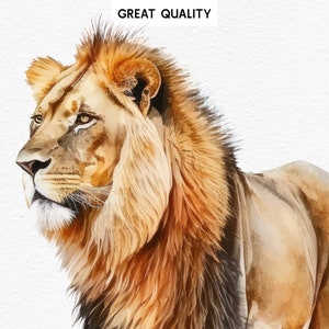 African Lion PNG Clipart Safari Animals Jungle Nursery Wall Art Cute ...