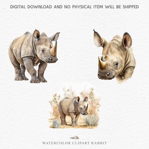 Cute African Baby White Rhinoceros PNG Clipart | Savanna Safari Animals ...