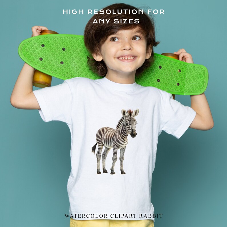 Cute African Baby Zebra PNG Clipart Safari Animals Jungle - Etsy