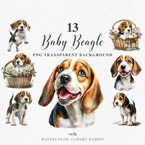 Baby Beagle Clipart | Beagle Puppy PNG | Jumping Dog PNG | Watercolor ...
