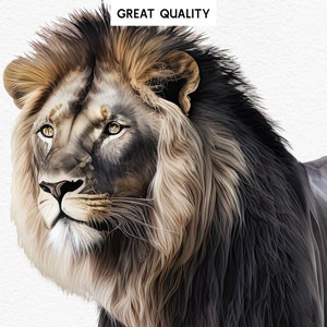 African Lion PNG Clipart | Safari Animals | Jungle Nursery Wall Art ...