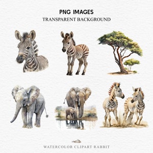 Safari Baby Animals PNG Clipart Savanna Jungle African Lion, Giraffe ...