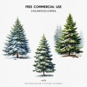 Christmas Winter Pine Tree PNG Pastel Xmas Decoration Clipart Bundles ...