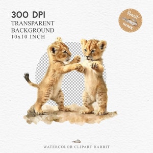 Baby Lion PNG Clipart African Safari Animals Jungle Nursery Wall Art ...