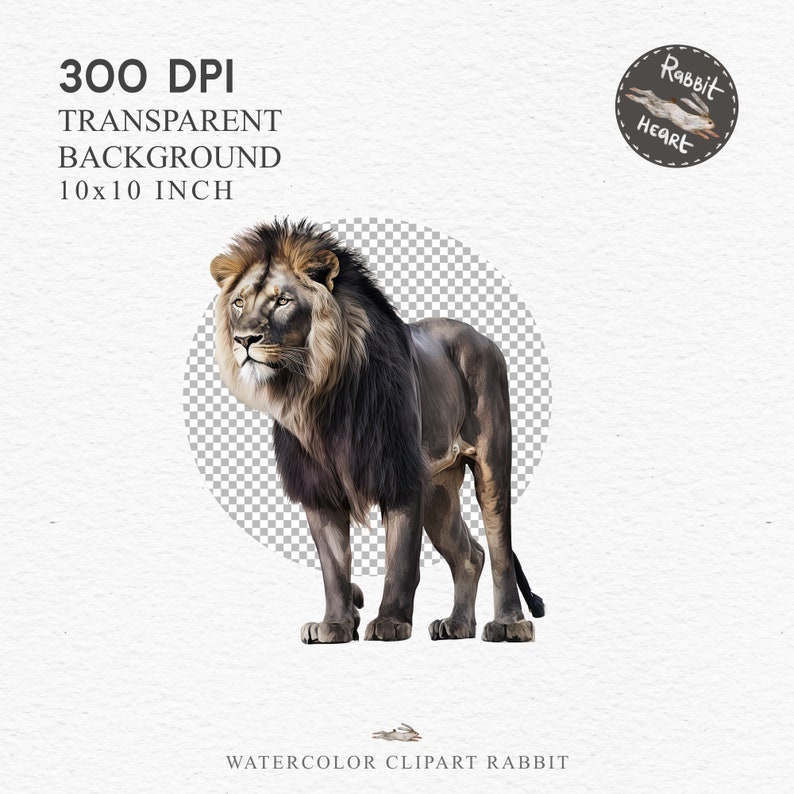 African Lion PNG Clipart Safari Animals Jungle Nursery - Etsy