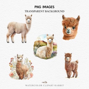 Alpaca Clipart Baby Lama PNG Junk Journal Scrapbooking Art Digital ...