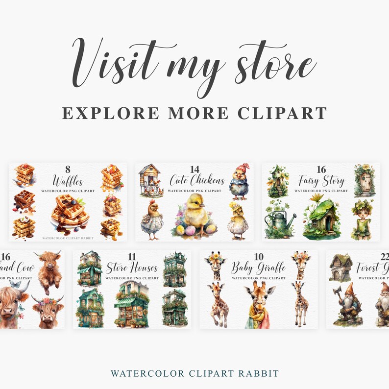 Cute African Baby Zebra PNG Clipart Safari Animals Jungle - Etsy