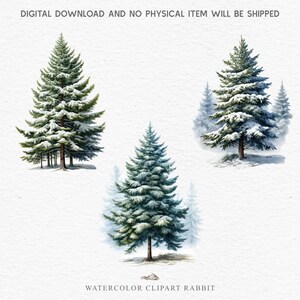 Christmas Winter Pine Tree PNG Pastel Xmas Decoration Clipart Bundles ...