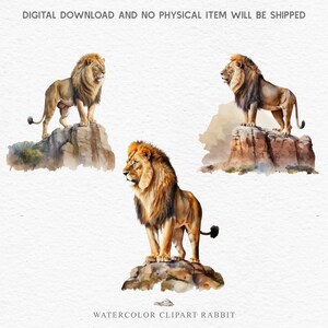 African Lion PNG Clipart | Safari Animals | Jungle Nursery Wall Art ...