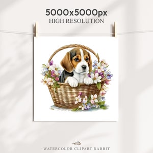 Baby Beagle Clipart | Beagle Puppy PNG | Jumping Dog PNG | Watercolor ...